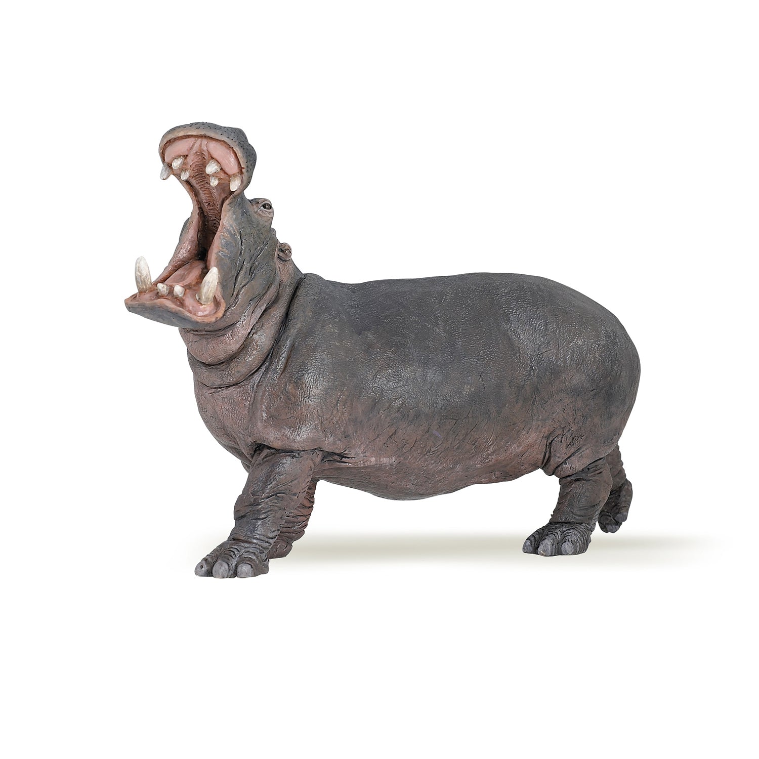 Buy Papo - Hippopotamus Figurine - MyDeal Australia