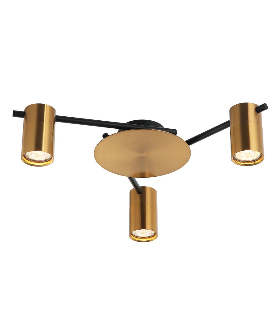 Buy Tache Interior Spot Ceiling Light (with Adjustable Antique Brass 3 ...