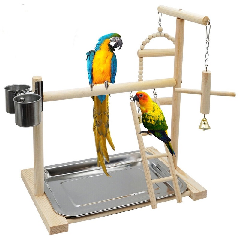 Buy Bird Play Stand Cockatiel Playground Wood Perch Gym Toys Parrot ...