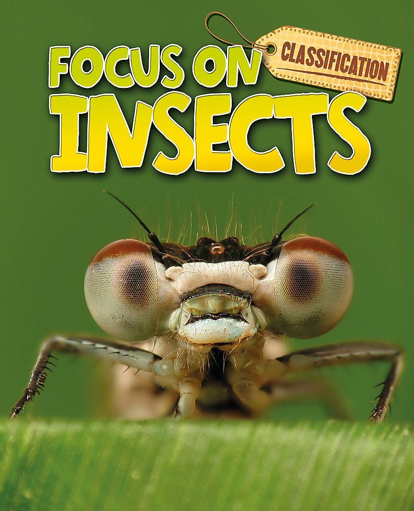 Buy Classification: Focus on: Insects Stephen Savage Paperback Book ...