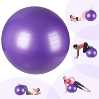 Buy 55Cm Yoga Ball Home Fitness Pilates Gym Ball Home Exercise Workout ...