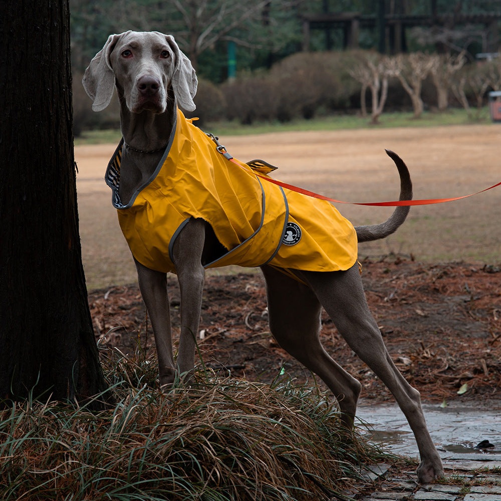 Buy 65# Yellow Waterproof Reflective Dog Raincoat For Small To Large ...