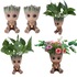 Buy Baby Groot Flowerpot Cute Little Baby Tree Man Indoor Garden ...