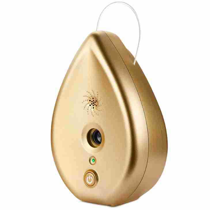 Buy Gold Ultrasonic Anti Barking Device Automatic Dog & Training Aid ...