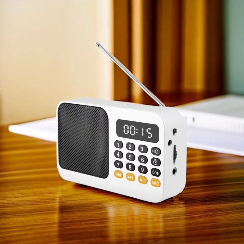 Buy Portable Digital Music Player Fm Radio 4 Playback Modes Led ...