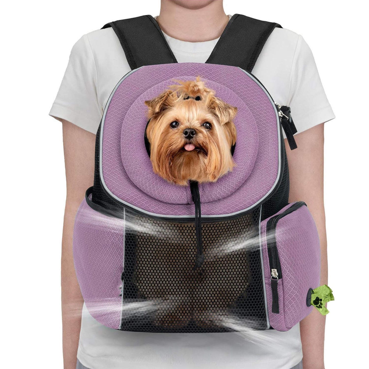 Buy Purple Breathable Mesh Pet Carrier Backpack Head Out Design For ...