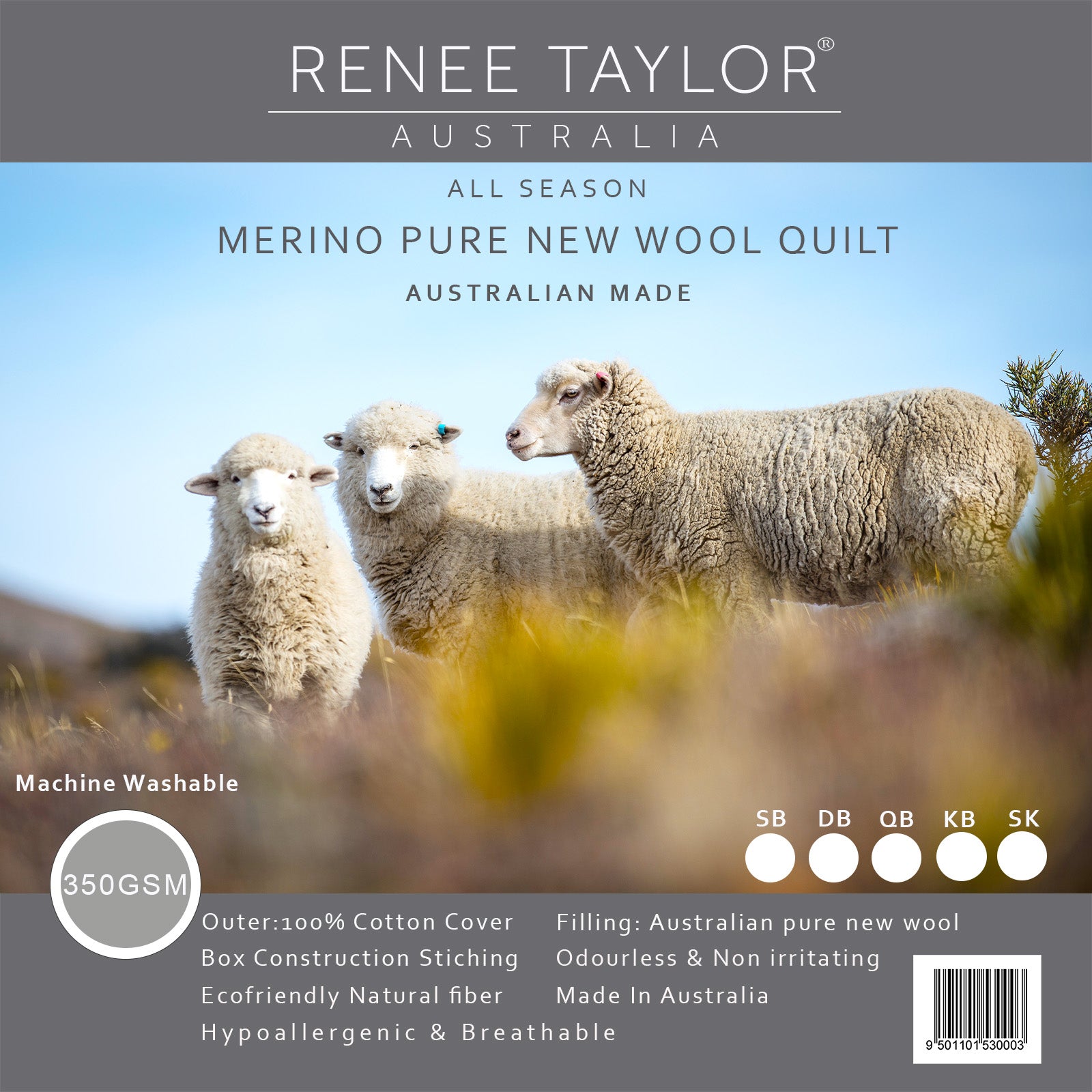 Buy Renee Taylor 350 Gsm Australian Pure Merino Wool Quilt Cover By ...