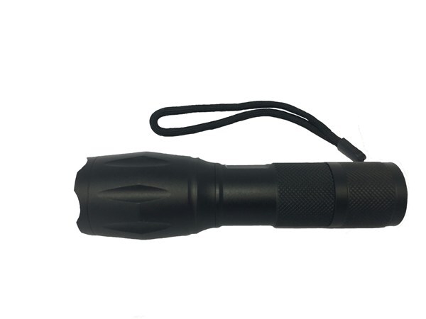 Buy 400 Lumen 8W Cree LED Torch light weight aluminimum cool white ...