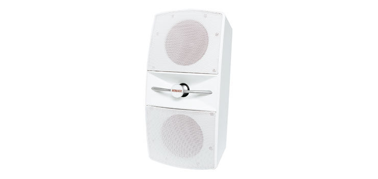 Buy REDBACK 40W 2 Way 8 Ohm-100V Wall Speaker Horizontal or Vertical ...