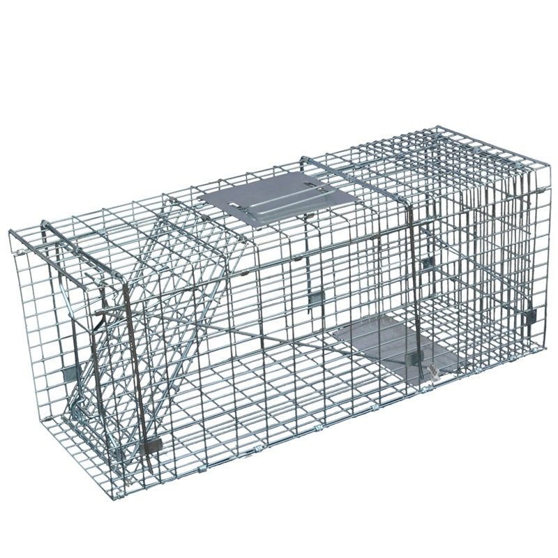 Buy Foldable Live Animal Trap 10inch Possum Feral Cat Rabbit Bird ...