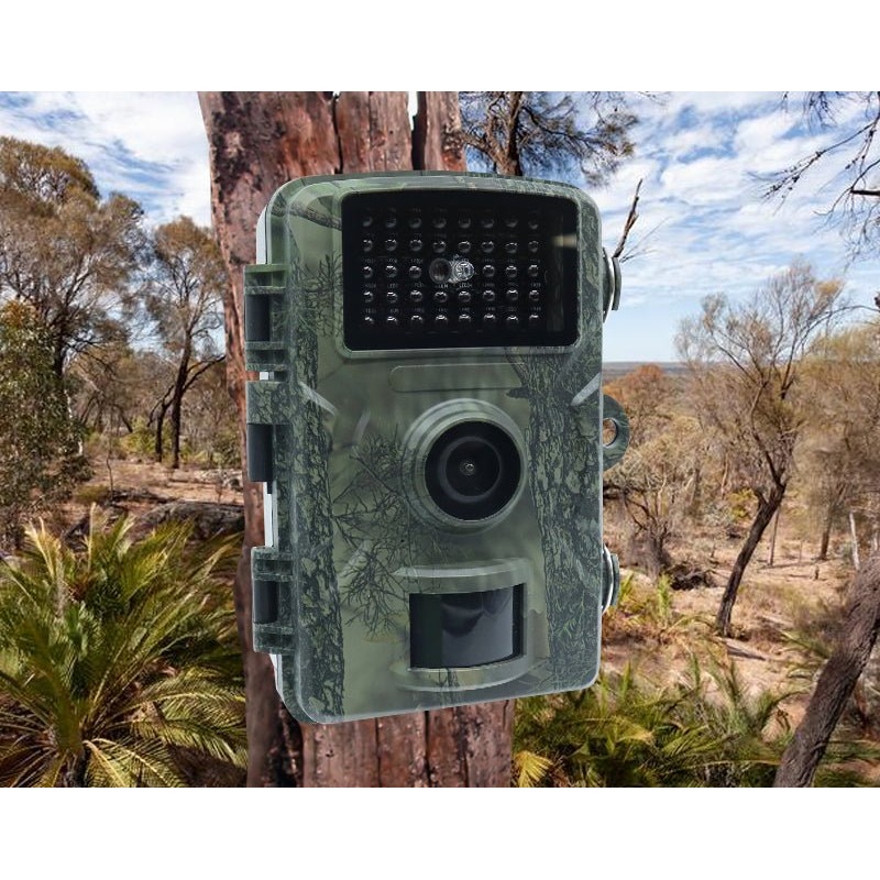 Buy Waterproof Trail Camera HD Animal Surveillance Wildlife 16MP 1080P ...