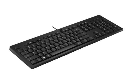 Buy HP 125 Wired Keyboard - Compatible with Windows 10, Desktop PC ...