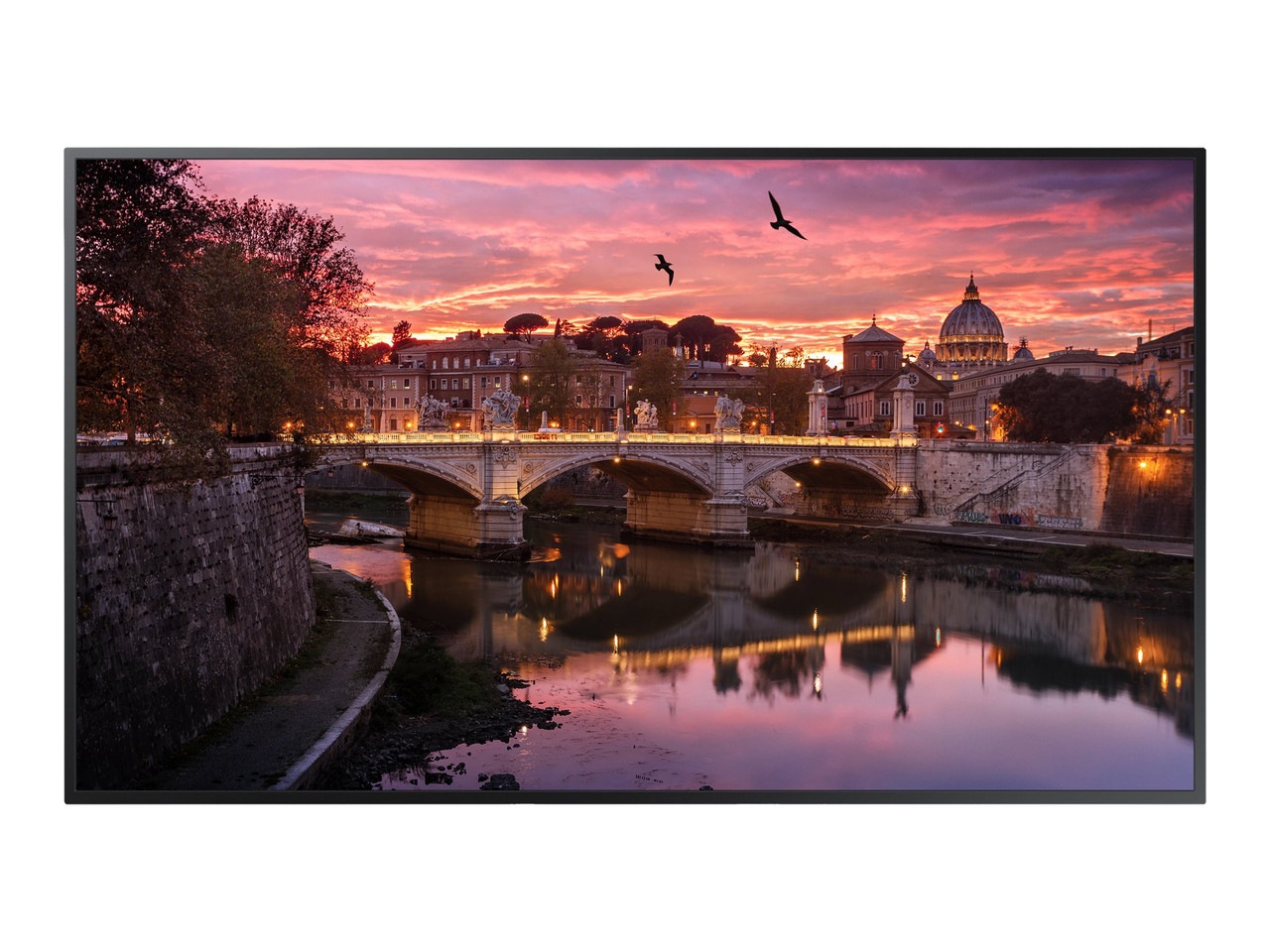 Buy SAMSUNG (QBC) PRO DISPLAY, 55" UHD, 350NITS, HDMI(3), LAN/WIFI, SPK ...