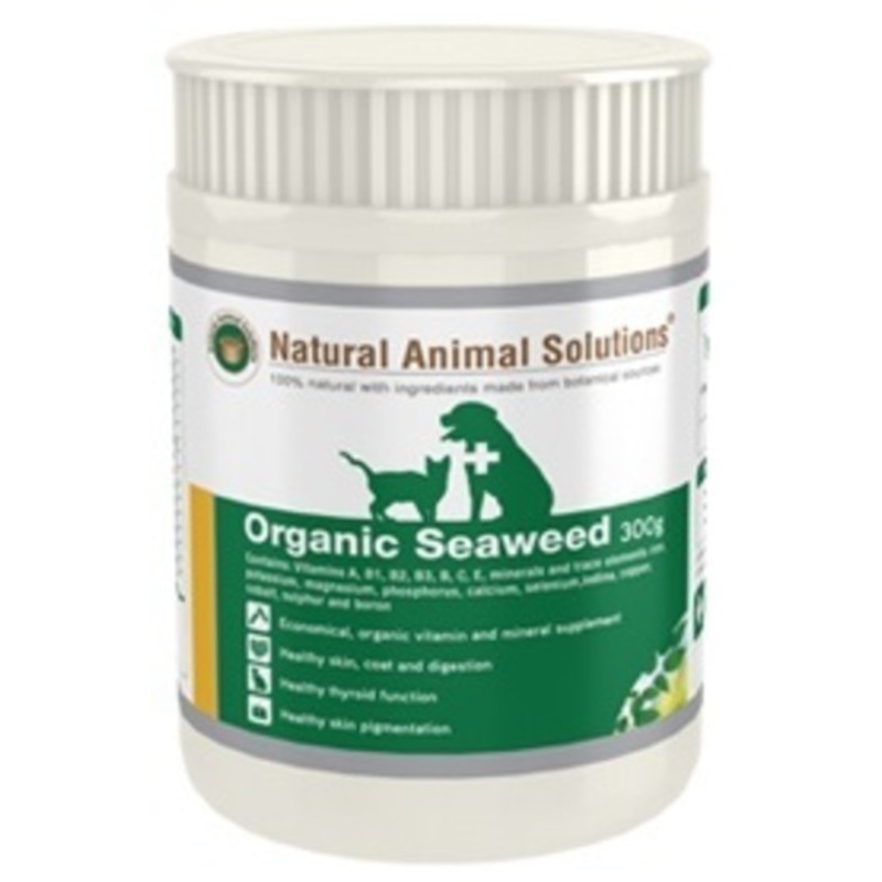 Buy NAS Organic Seaweed for Dogs, Cats & Horses (300g) Natural Animal ...