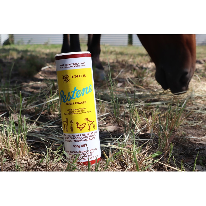 Buy Pestene Powder for Insect Control of Dogs, Chicken & Other Animals ...