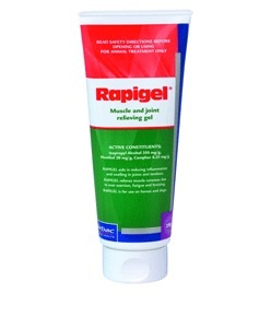 Buy Rapigel Muscle & Joint Relieving Gel for Pets - 200g Tube (Virbac ...
