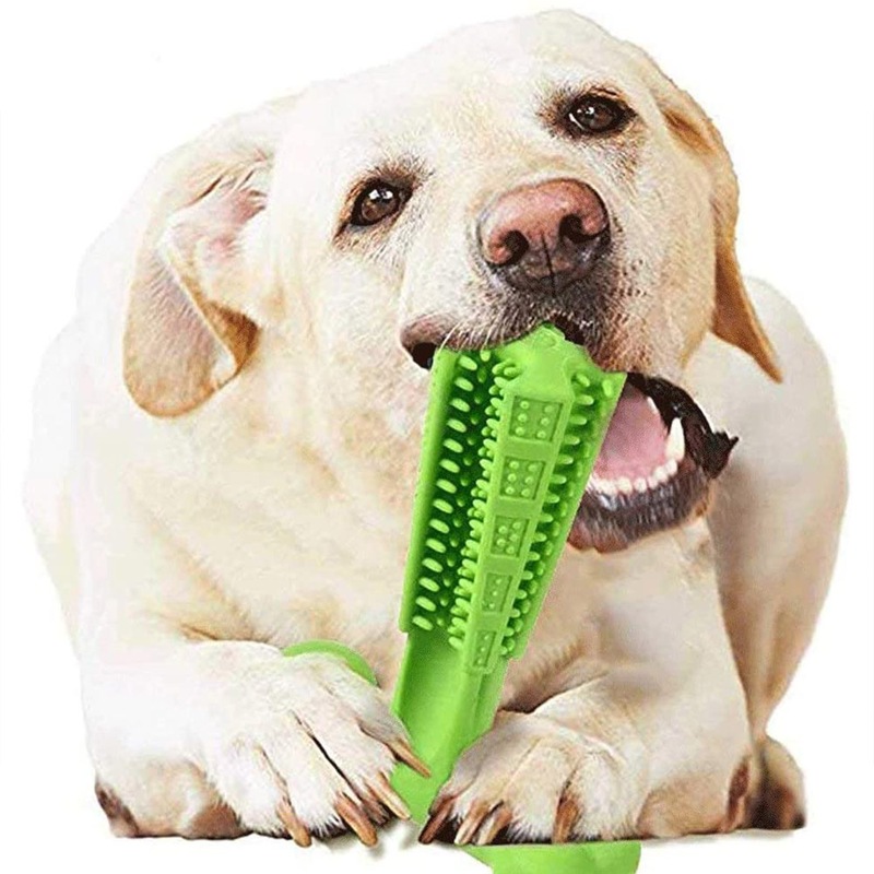 Buy Pet Dog Chew Toy Toothbrush Tooth Cleaning - MyDeal