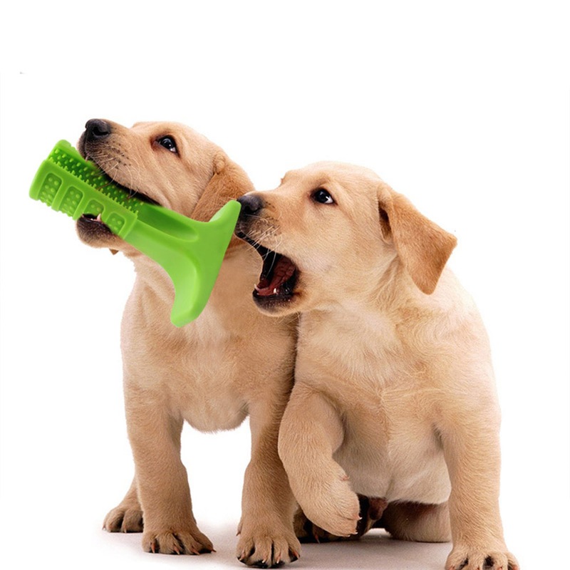 Buy Pet Dog Chew Toy Toothbrush Tooth Cleaning - MyDeal