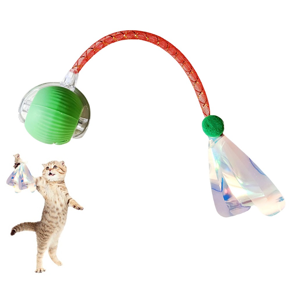 Buy Interactive Cat Toy Moving Cat Ball with Dragonfly Tail Indoor Auto ...