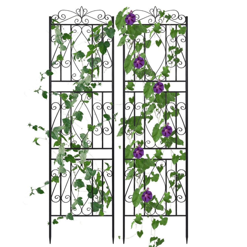 Buy 6-Panel Garden Border Trellis for Climbing Plants - MyDeal Australia