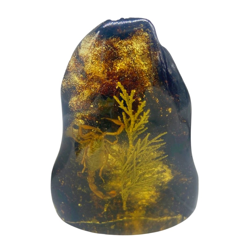Buy Scorpion in Amber Paperweight - MyDeal Australia