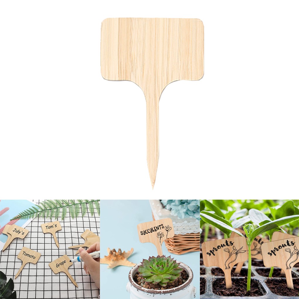 Buy SpringUp 50pcs Bamboo Plant Flower Labels Word T-tags/ Cloud Tags ...