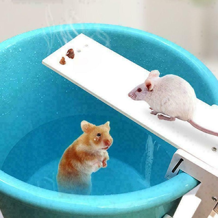 20x Reusable Wooden Mouse Trap Mice Rat Snare Catcher Rodent Pest ...