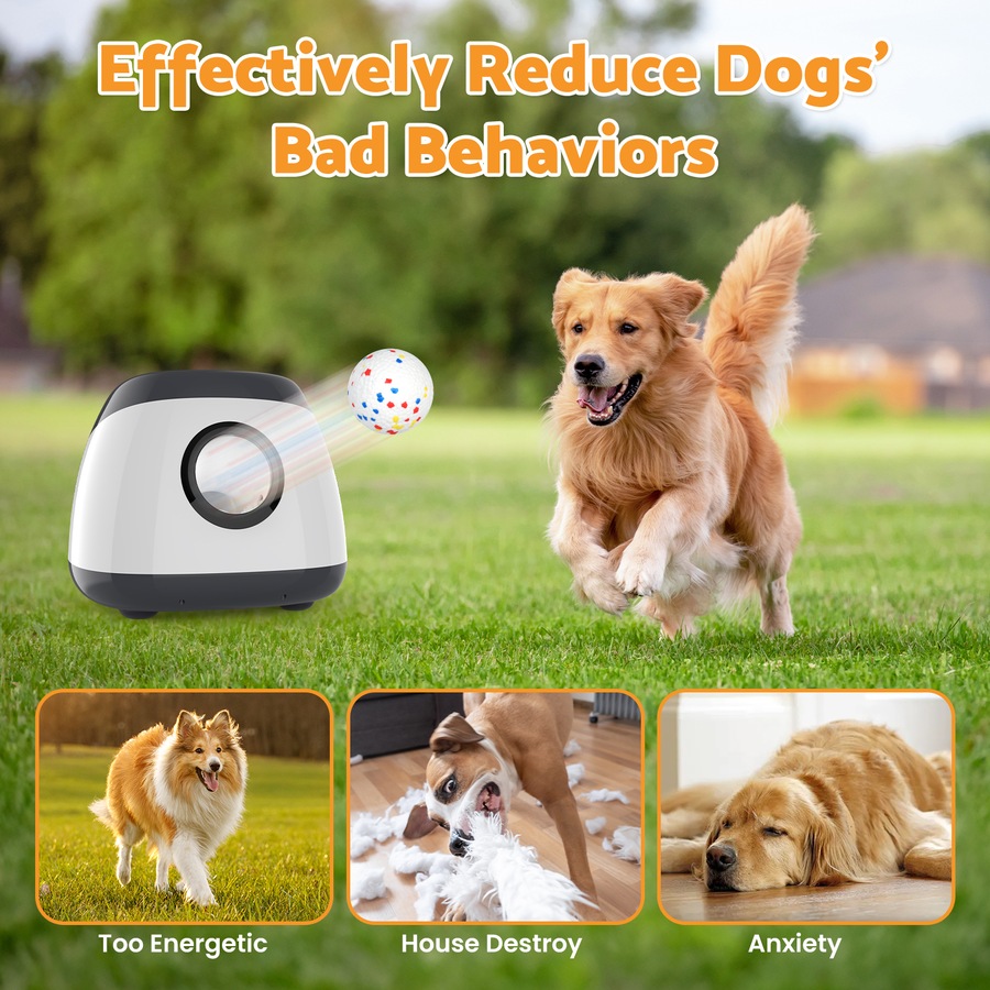 Buy Advwin Automatic Ball Launcher for Dogs Dog Ball Thrower Launcher ...