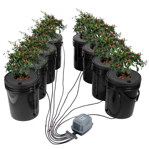 Buy DWC Hydroponics Grow System Deep Water Culture 8 Buckets with Air ...
