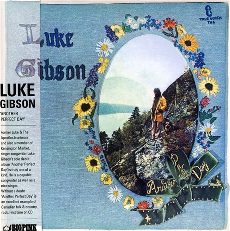 Buy Luke Gibson Another Perfect Day CD - MyDeal Australia