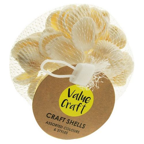 Buy Shell Clams - DISC - MyDeal Australia