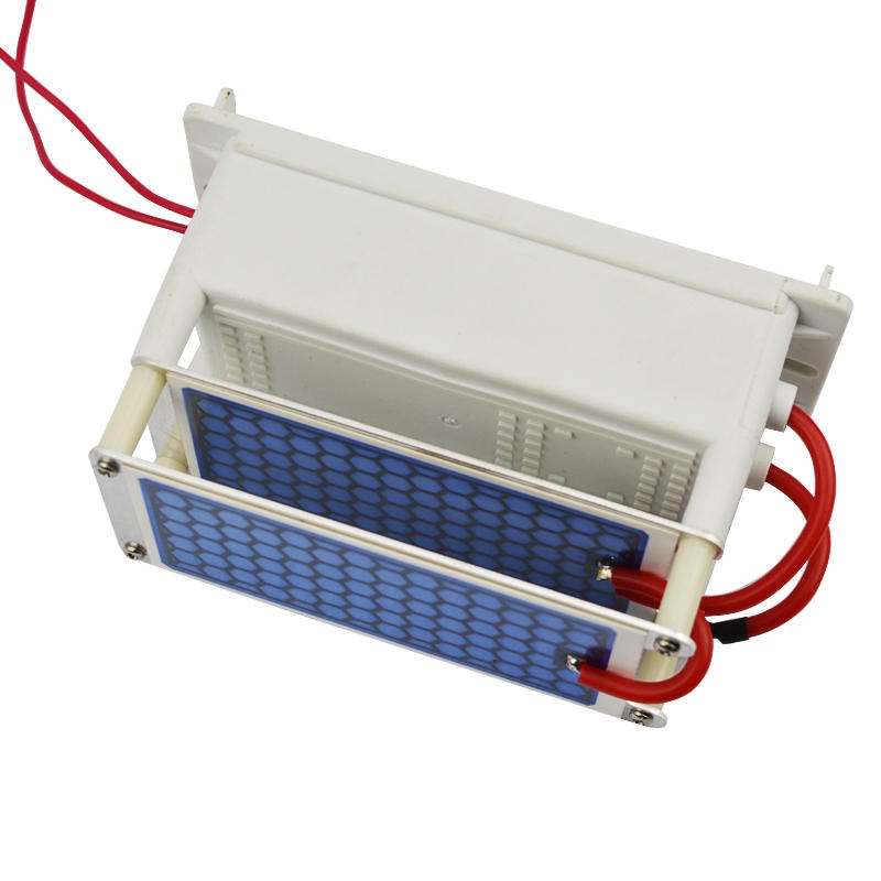 Buy 220V 10G Ozone Generator Diy With Ceramic Plate Long Life Style ...