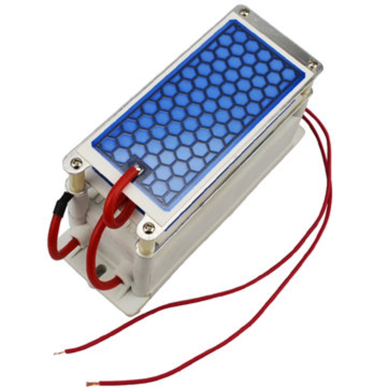 Buy 220V 10G Ozone Generator Diy With Ceramic Plate Long Life Style ...