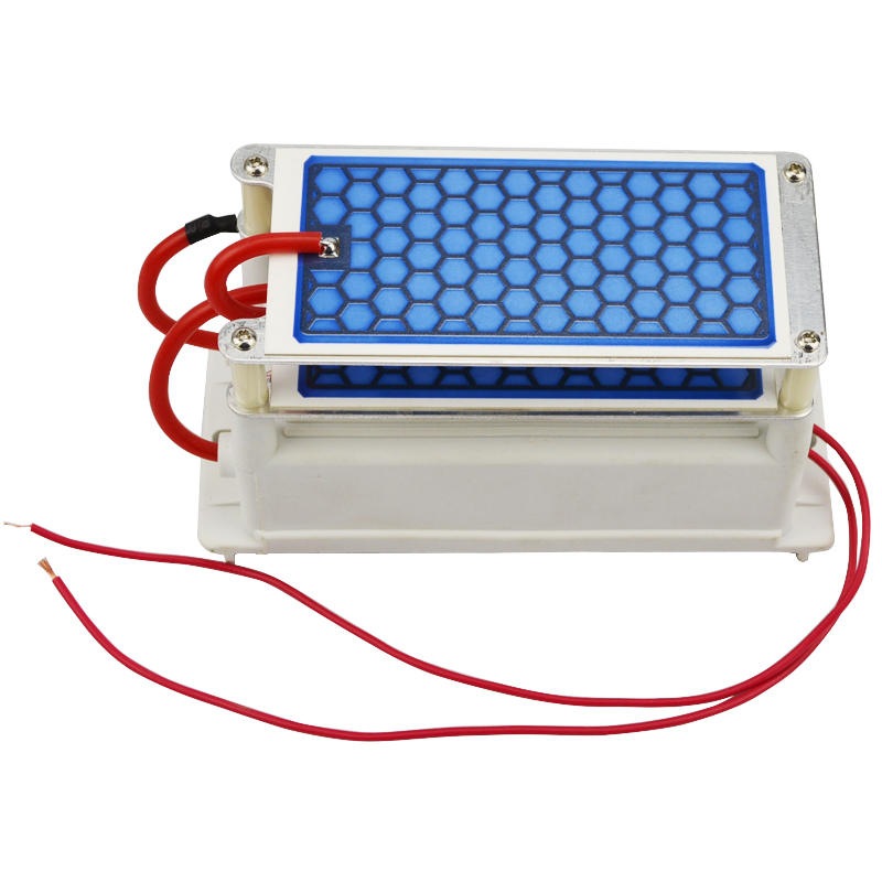 Buy 220V 10G Ozone Generator Diy With Ceramic Plate Long Life Style ...
