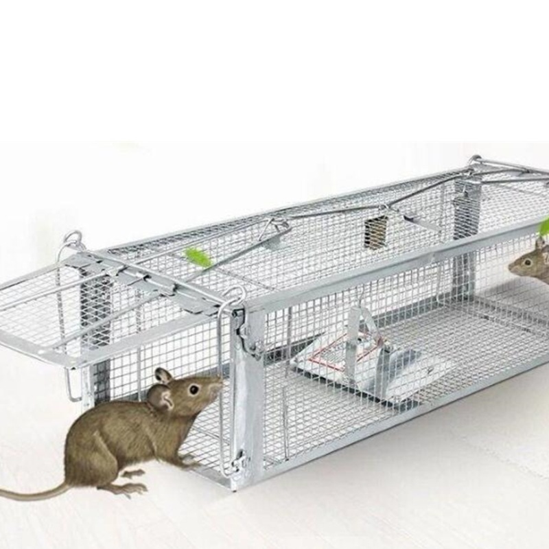 Buy Humane Live Animal Cage Rat Cage Trap Mouse Catcher - MyDeal