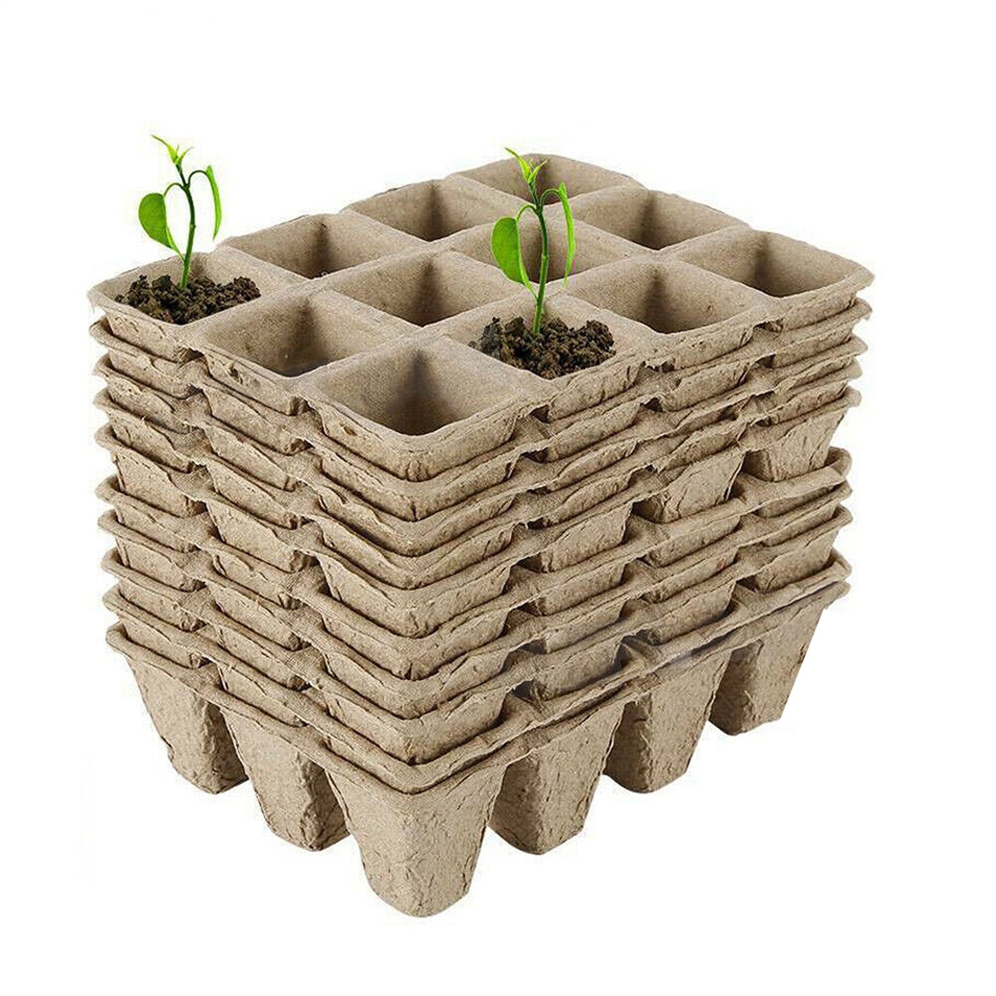 Buy 40pcs Biodegradable Paper Seedling Pots Seed Tray - MyDeal Australia