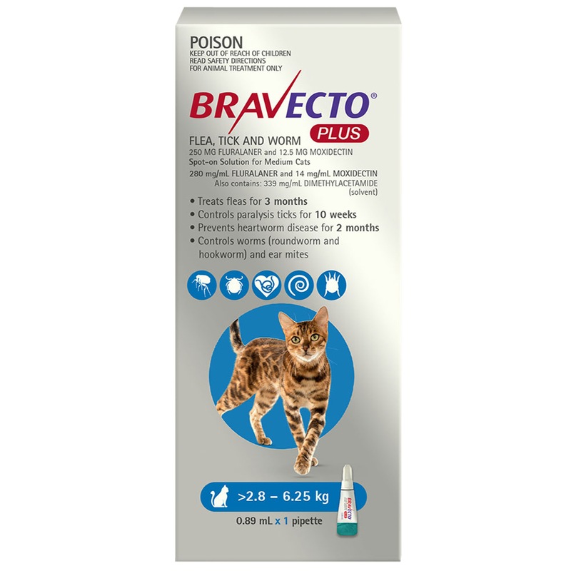 Buy Bravecto Plus 3 Month Cat Spot On Tick & Flea Treatment 2.8-6.25kg Medium Blue - MyDeal