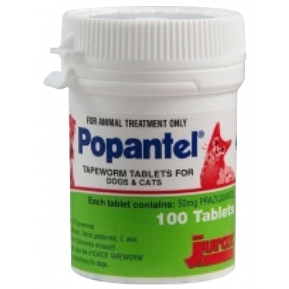 Buy Popantel Tapeworm Dogs & Cats Treatment Tablets 100 Pack - MyDeal ...