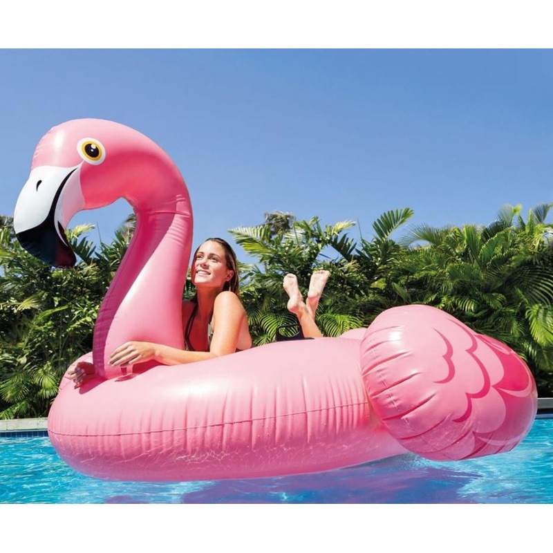 Buy Intex Pink Flamingo Ride-On - MyDeal