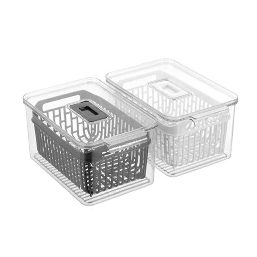 Buy Box Sweden Crystal Vegetable Storer 2L 24x15.5x12.3cm - 2 Assorted ...