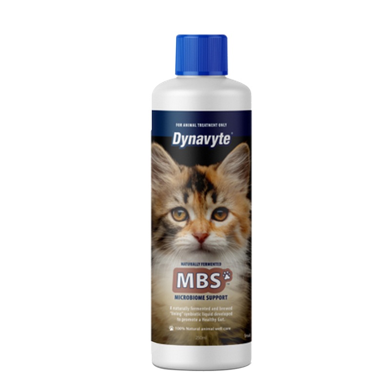 Buy Dynavyte MBS Gut Health Cats Microbiome Support 250ml - MyDeal