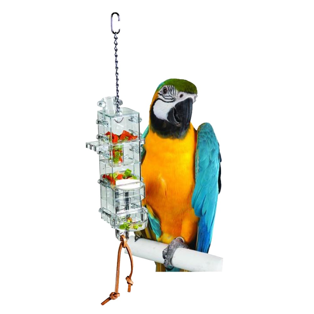 Buy Featherland Paradise Foraging Tug N Slide Bird Toy 27 x 11cm ...