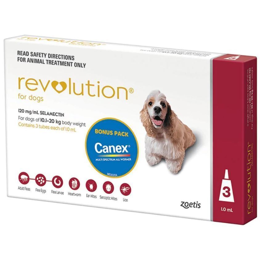 Buy Revolution 10.1-20kg Large Dog Parasite Wormer Treatment Red 3 Pack ...