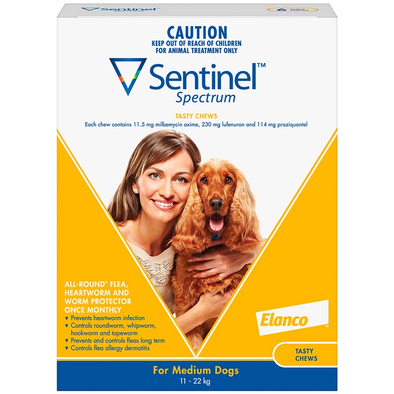 Buy Sentinel Spectrum Medium Dogs Flea Treatment Tasty Chews Yellow 3 ...