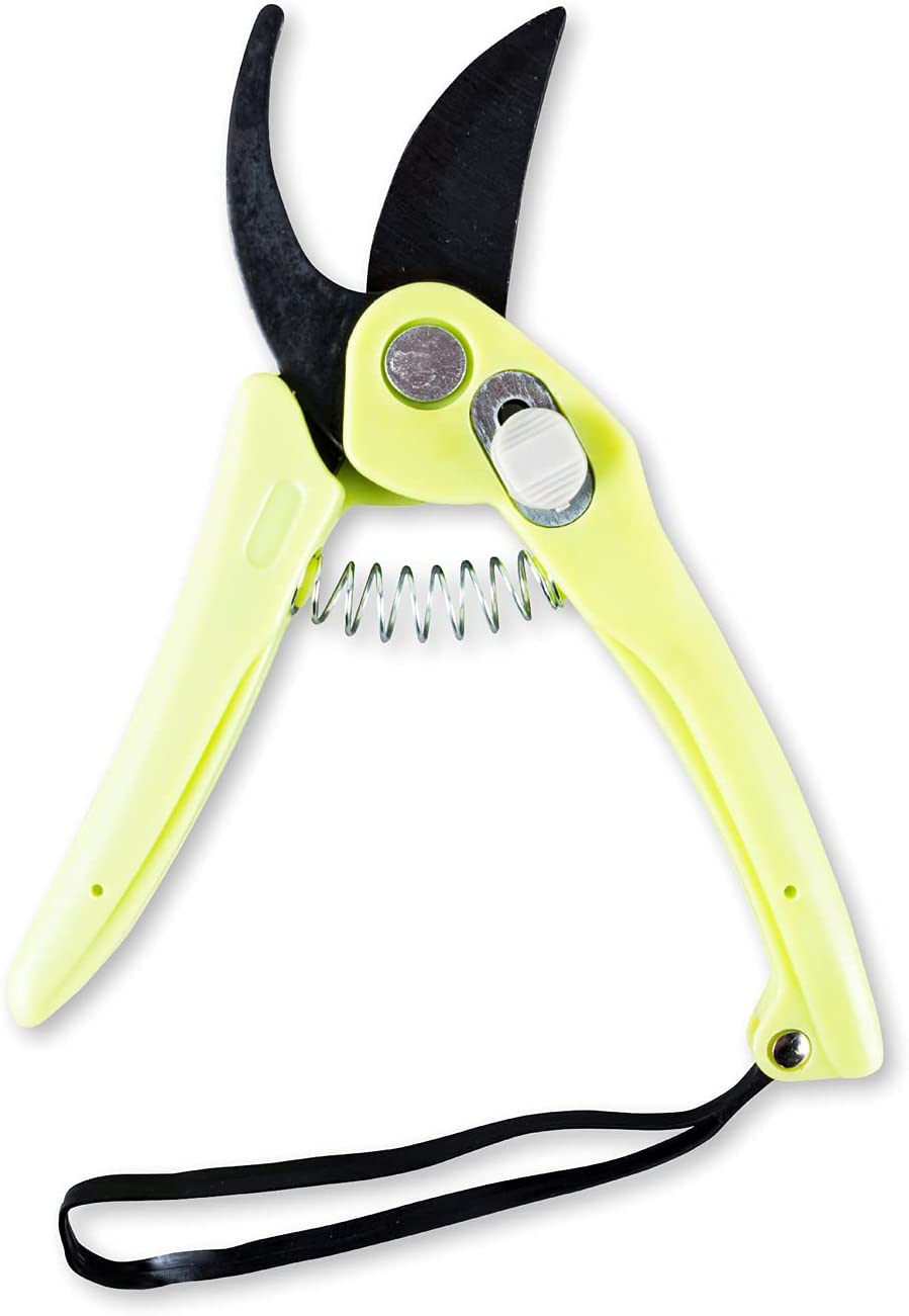Buy Garden Greens Secateurs Heavy Duty Precision & Lockable Blades 18 ...