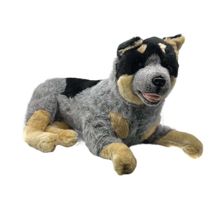 Buy Bocchetta Plush Toys "Orazio" Blue Heeler Cattle Dog Lying Extra ...