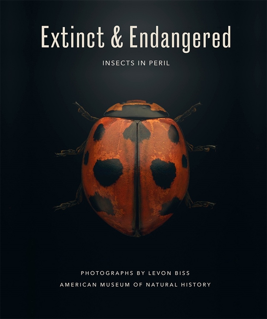 Buy Extinct & Endangered: Insects in Peril - MyDeal Australia