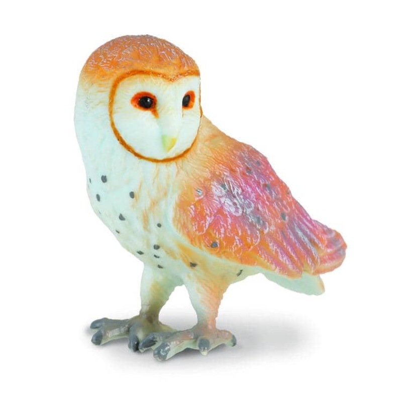 Buy CollectA - Barn Owl Small Animal Figurine - MyDeal