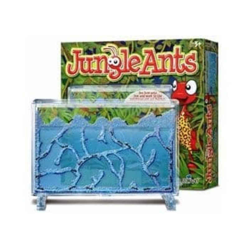 Buy Aqua Dragons Jungle Ants Self-contained Gel Ant Habitat - MyDeal