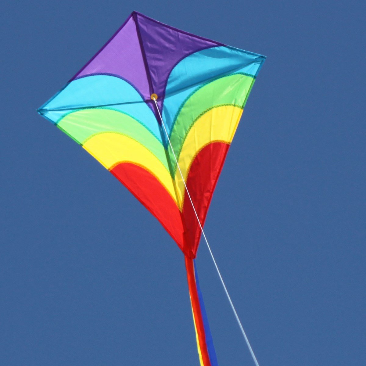 Buy Windspeed - Waves Diamond Kite Single Line - Ocean Breeze Model 887 ...